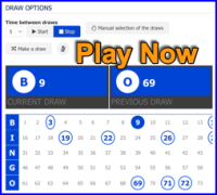 Free Bingo Caller - Bingo Card Generator