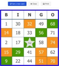 Free Virtual Bingo Card - Bingo Card Generator